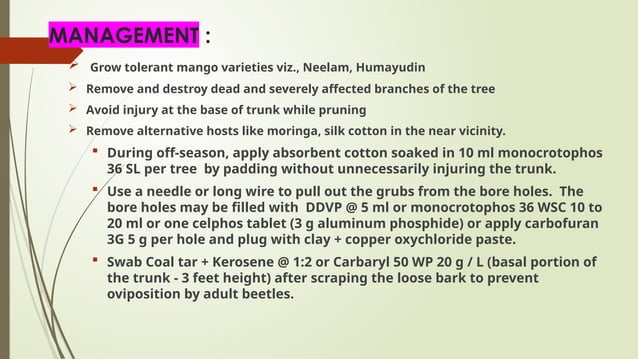 MANGO PESTS AND ABOUT ITS LIFE CYCLES, DAMAGE SYMPTOMS , AND MANAGEMENT ...