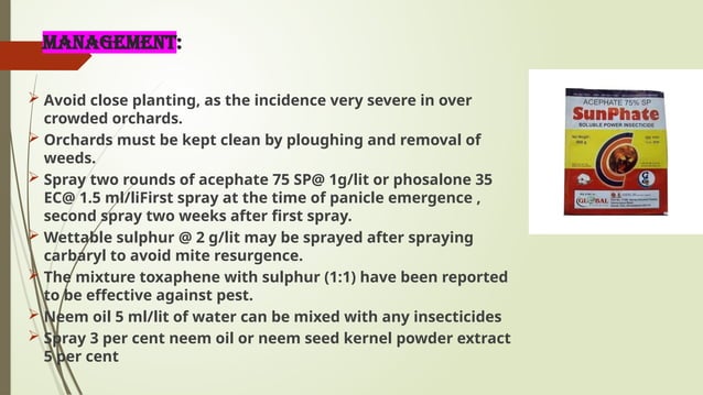 MANGO PESTS AND ABOUT ITS LIFE CYCLES, DAMAGE SYMPTOMS , AND MANAGEMENT ...
