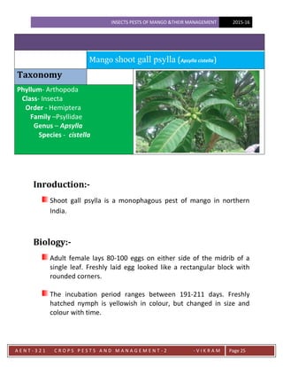 Pests of mango ( dks cars bhatapara) | PDF