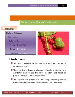 Pests of mango ( dks cars bhatapara) | PDF