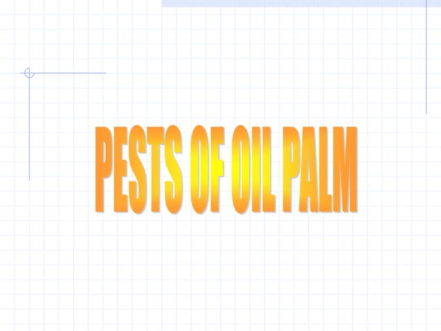 Pests of oil palm.ppt