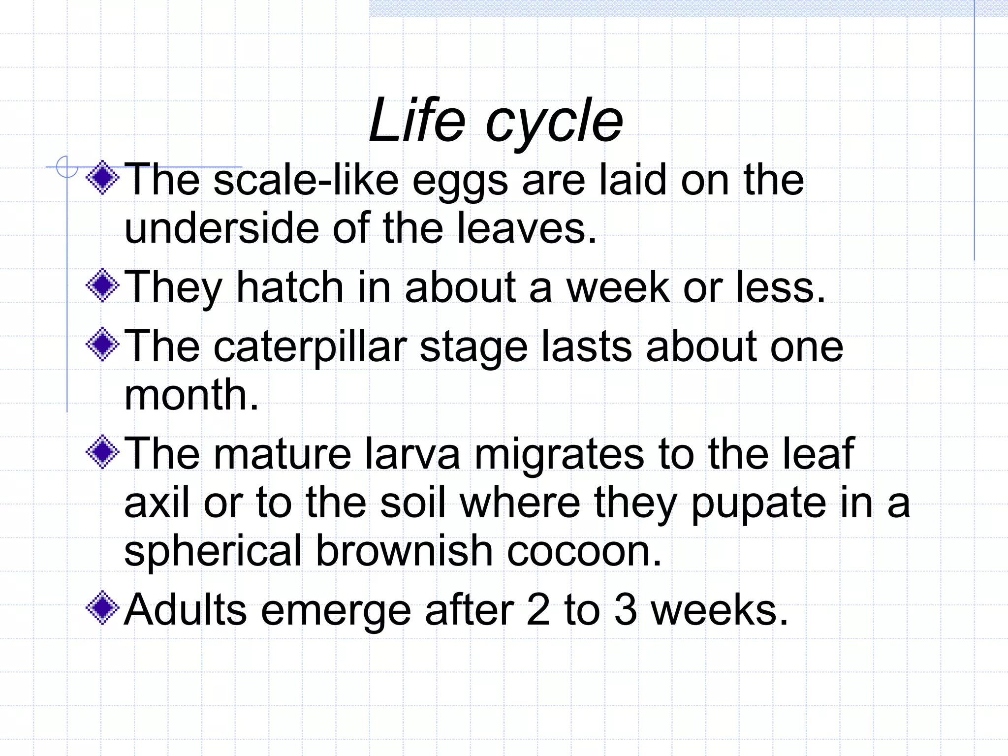 Pests of oil palm.ppt