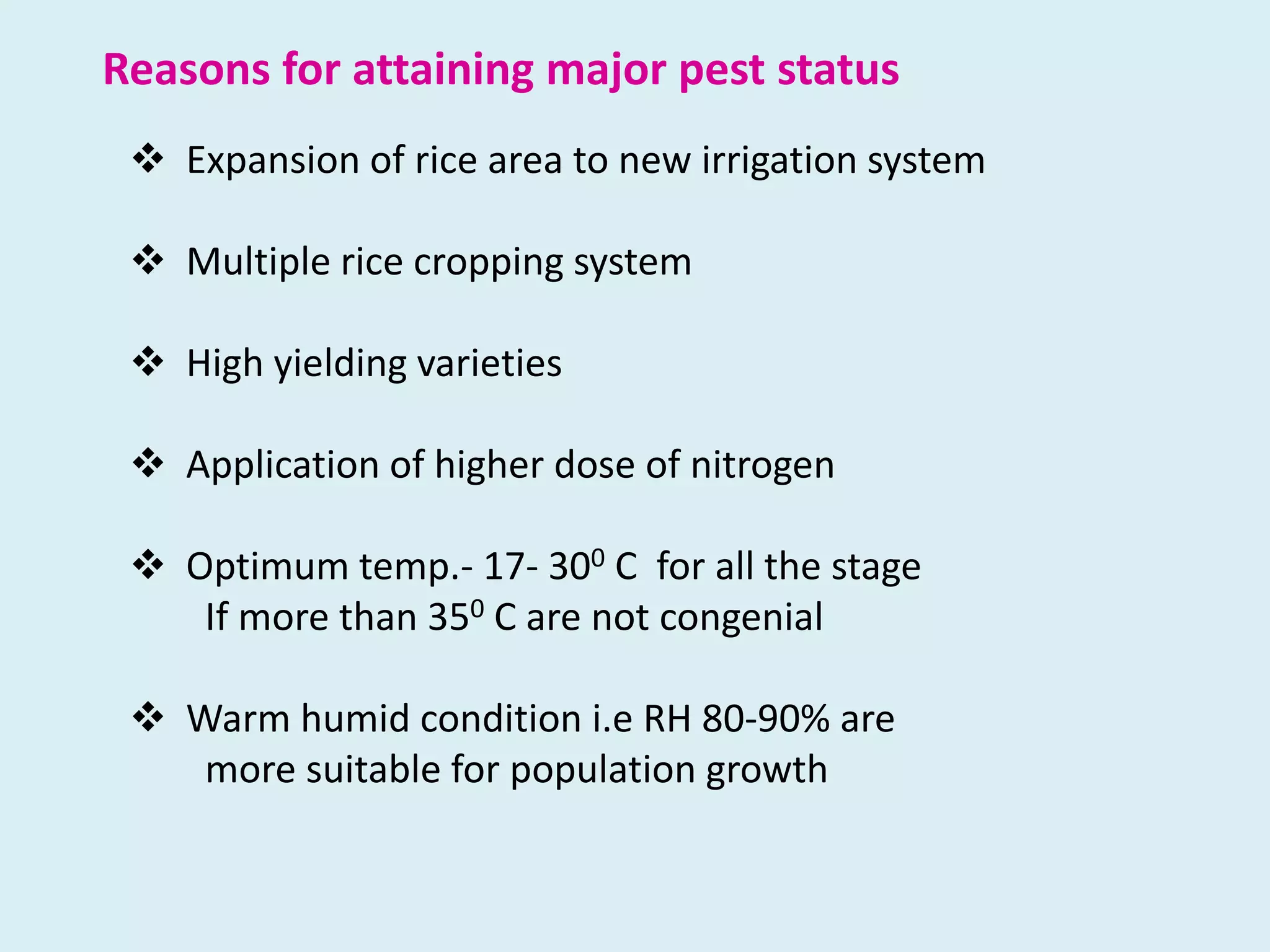 Pests of paddy 1 | PPTX