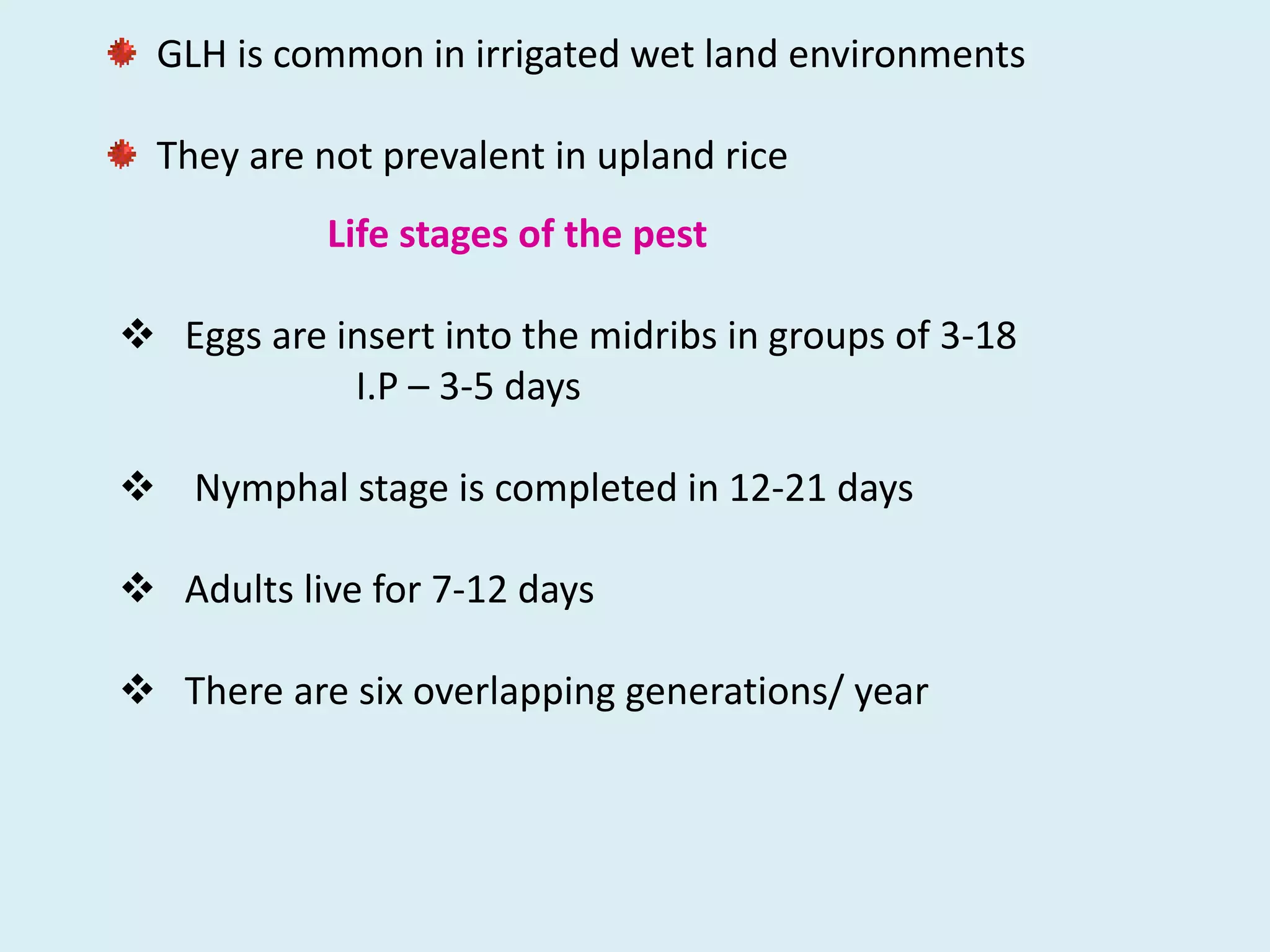 Pests of paddy 1 | PPTX