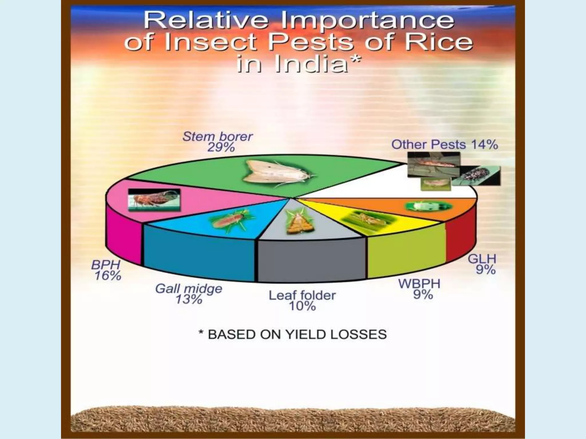 Pests of paddy 1 | PPTX