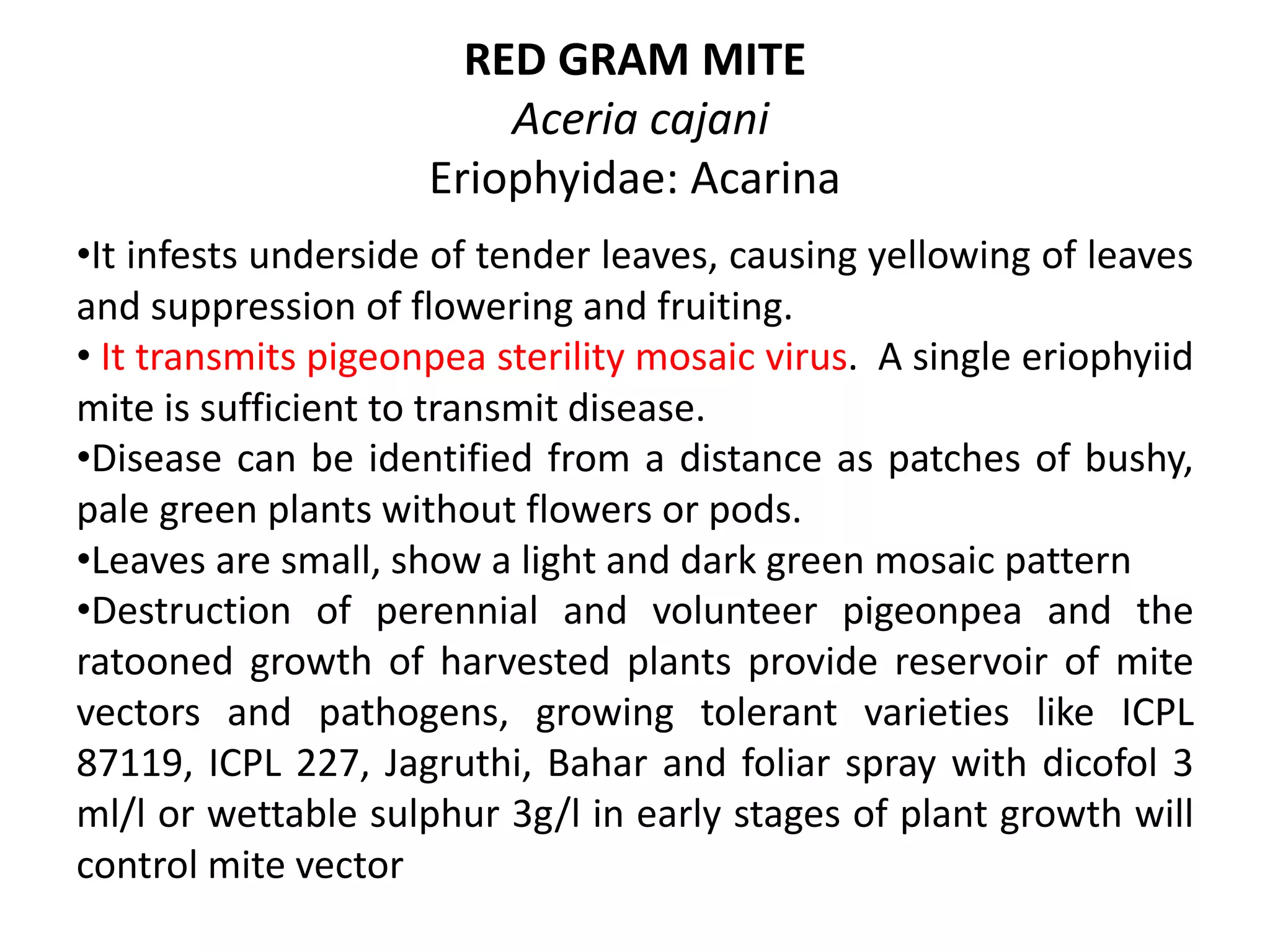 Pests of pulses | PPTX