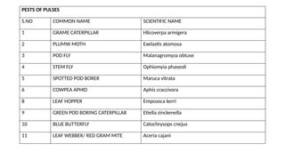 IMPORTANT PESTS OF PULSES AND THEIR MANAGEMENT.pptx