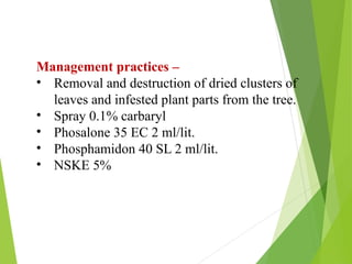 Pests of Sapota, Damage symptoms and their management.pptx