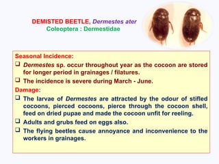 Pests of Silkworm - Challenges and remedies.ppt