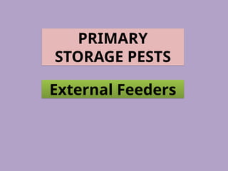 Insect pests of storage and their management | PPTX