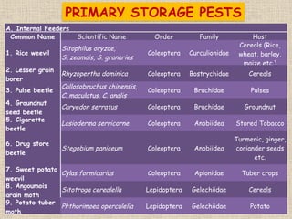 Insect pests of storage and their management | PPTX