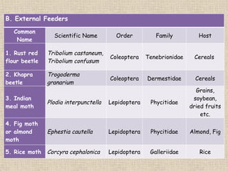 Insect pests of storage and their management | PPTX