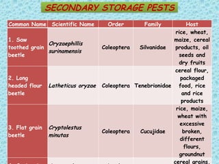 Insect pests of storage and their management | PPTX
