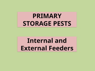 Insect pests of storage and their management | PPTX