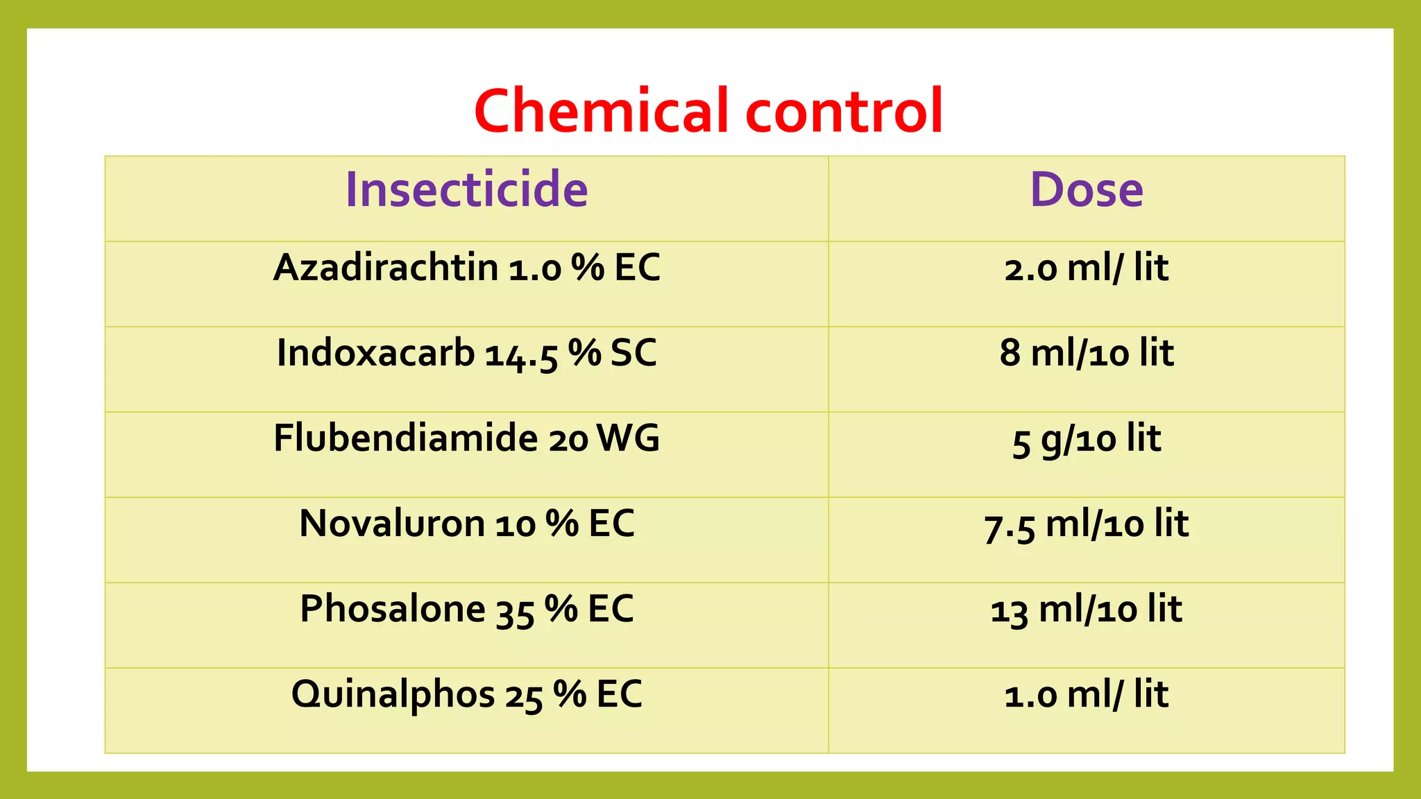 Pests of Tomato | PPTX