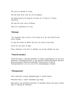 Pests of tomato1 | DOC
