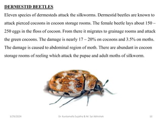 Pests & Predators which harm Silkworm growth | PPTX | Gardening | Home ...