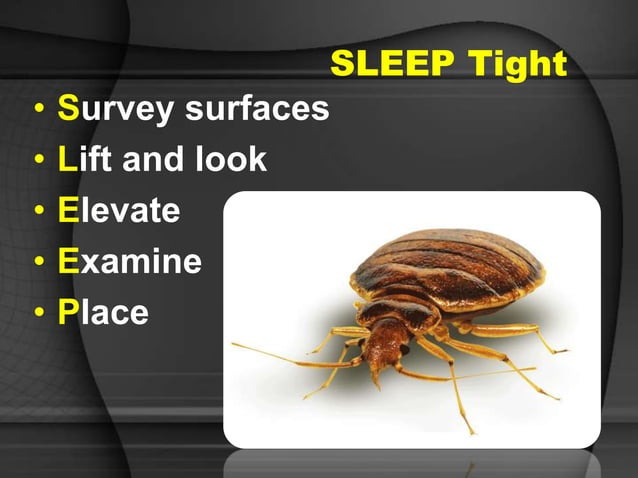Predators: Bed Bugs, Scabies and more | PPTX | Infectious Diseases | Diseases and Conditions