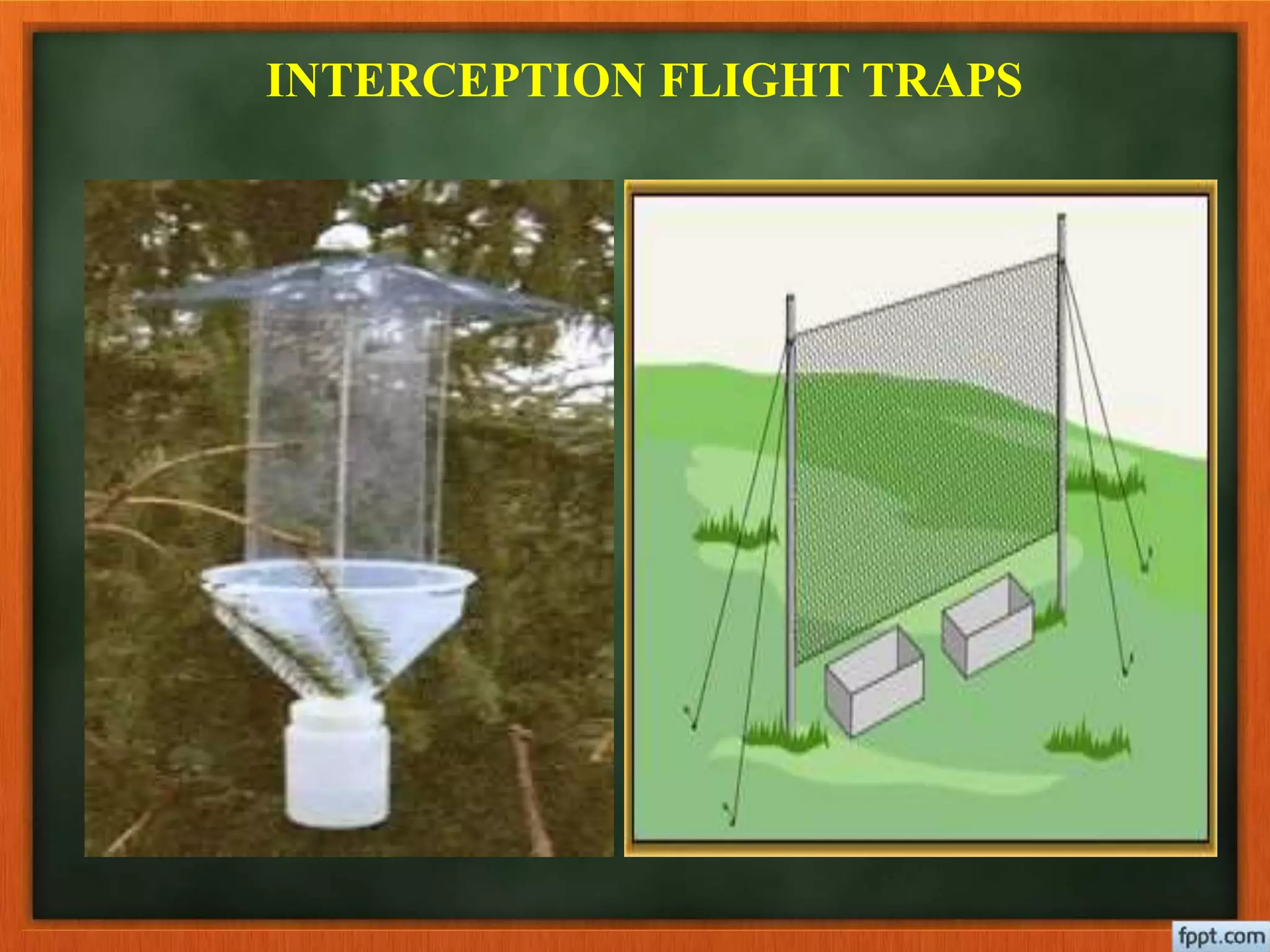 Pest surveillence and monitoring satyasri | PPTX
