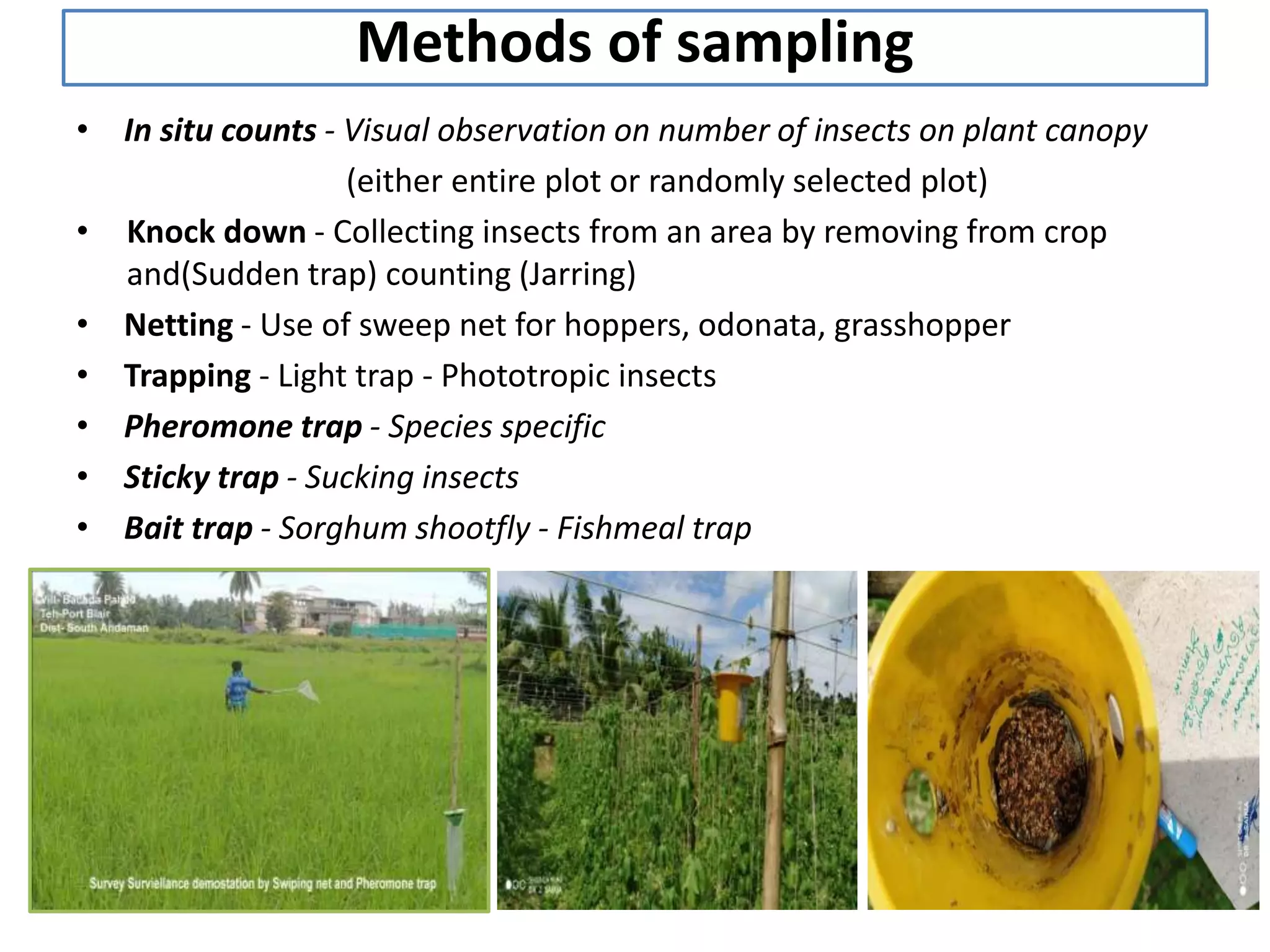 Pest Survey and Surveillance.pptx