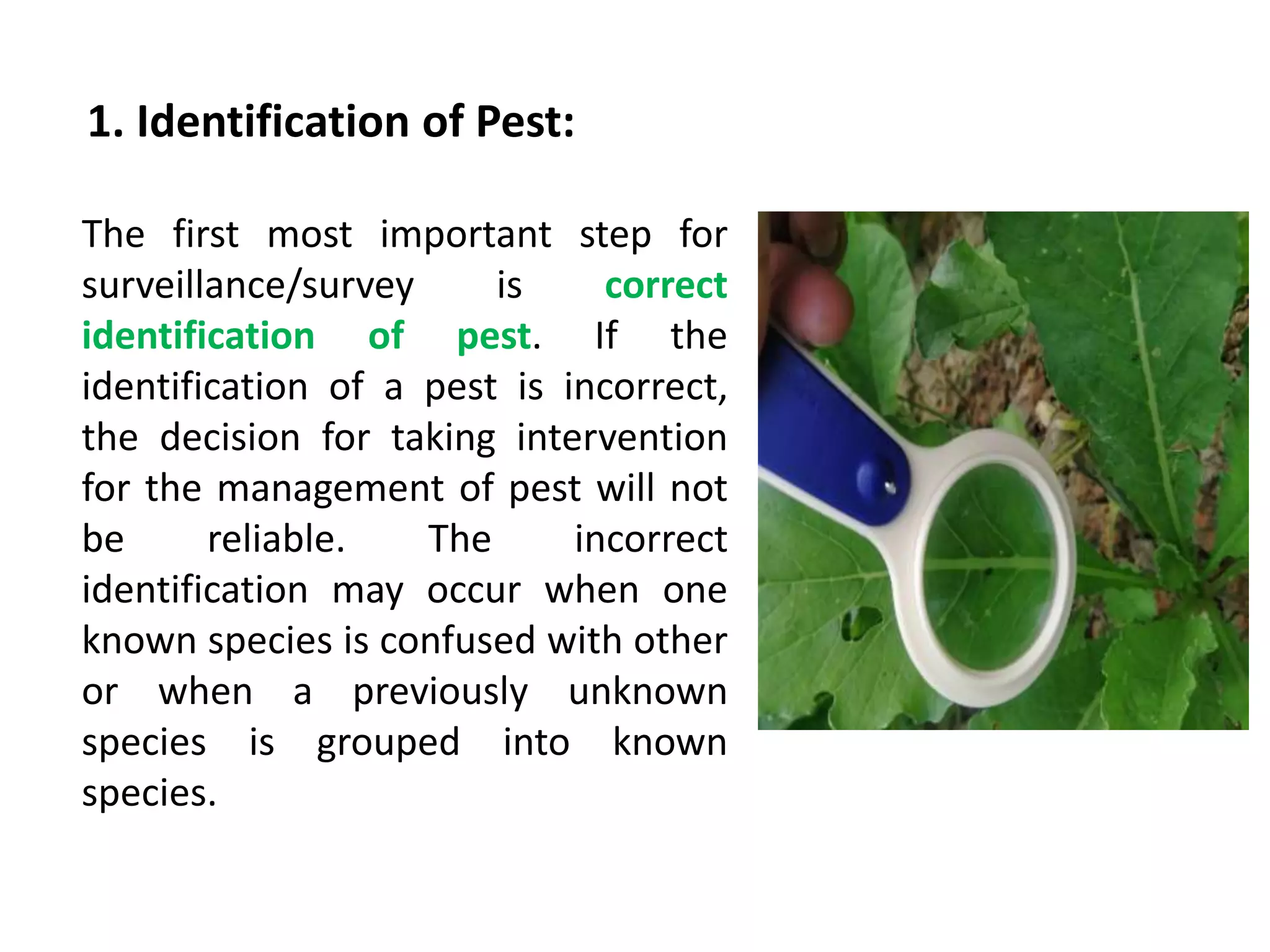 Pest Survey and Surveillance.pptx