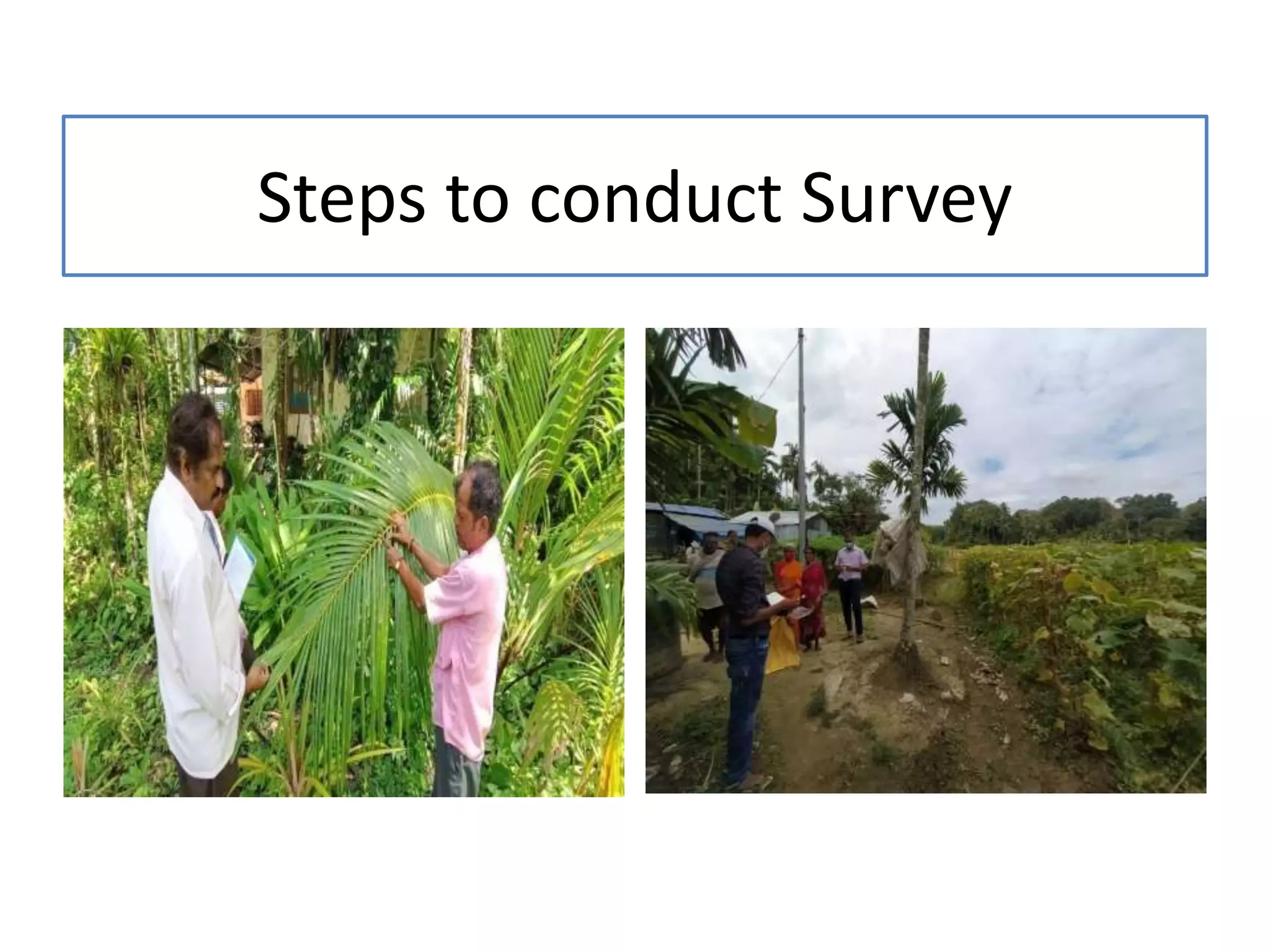 Pest Survey and Surveillance.pptx