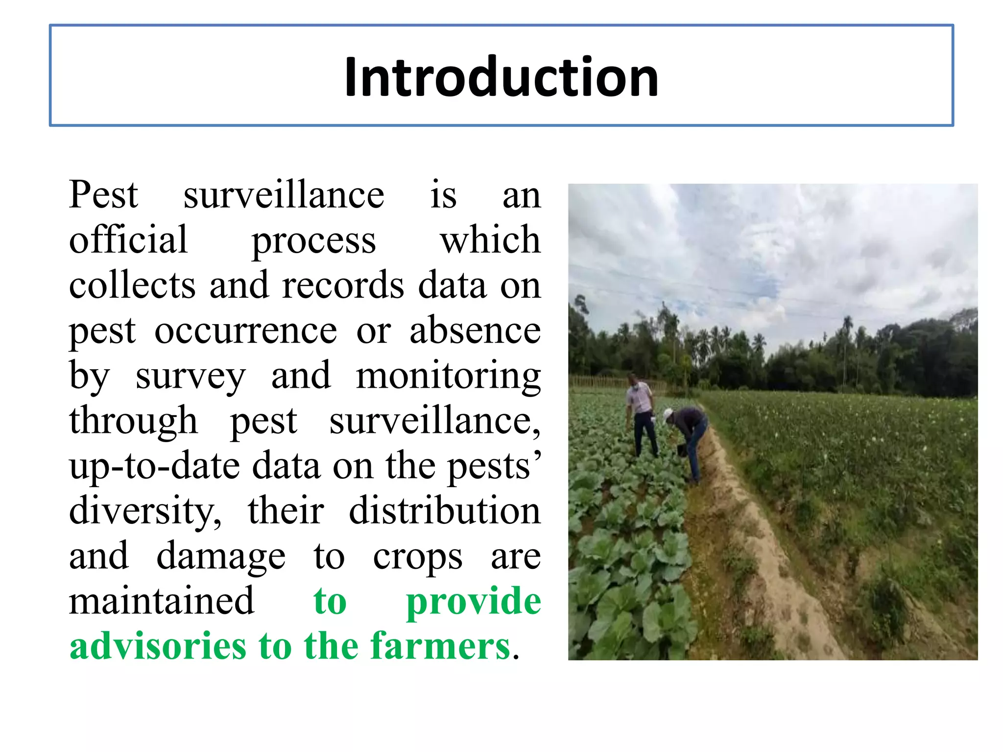 Pest Survey and Surveillance.pptx