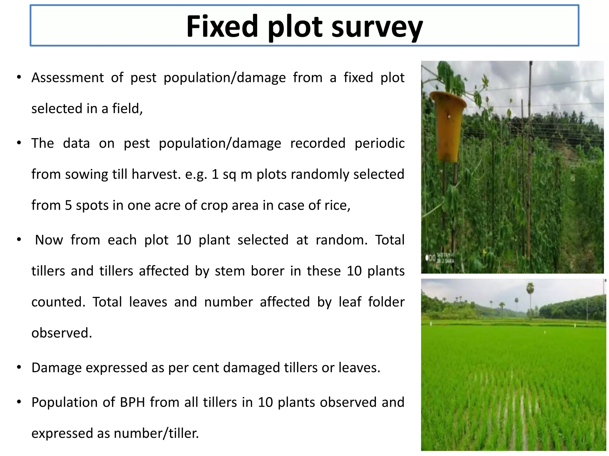 Pest Survey and Surveillance.pptx