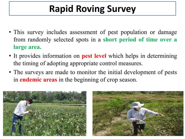 Pest Survey and Surveillance.pptx