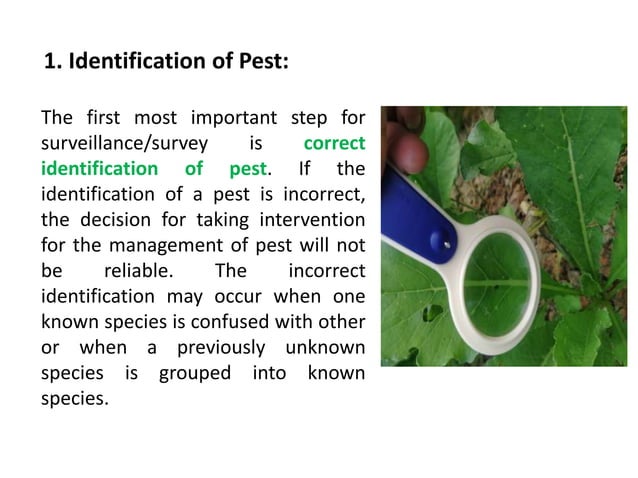 Pest Survey and Surveillance.pptx