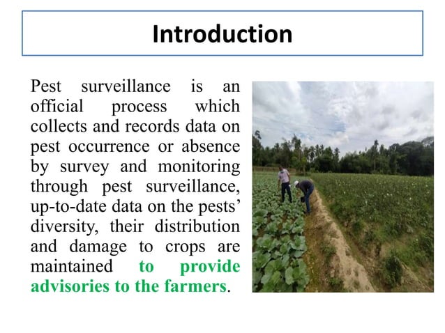 Pest Survey and Surveillance.pptx
