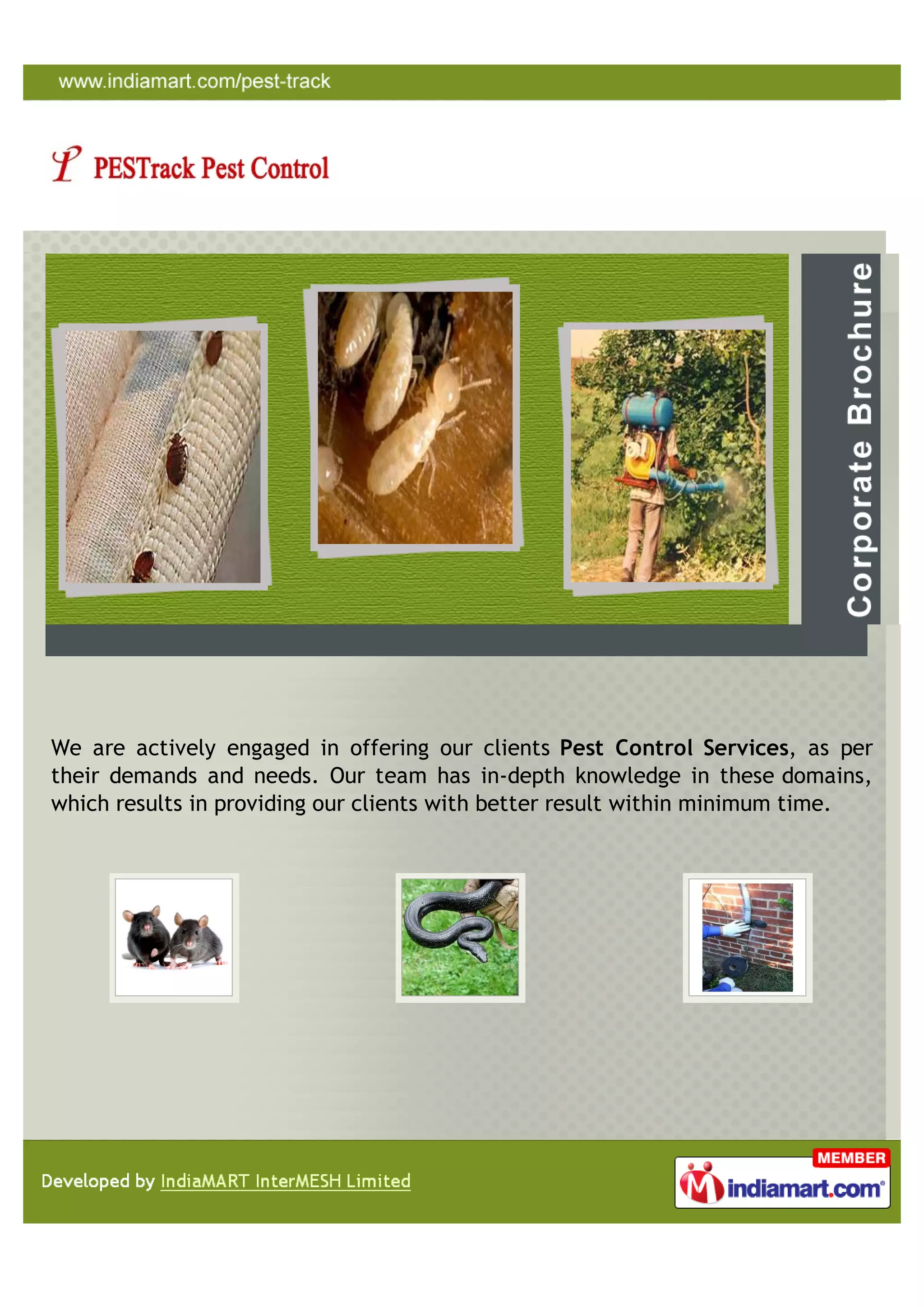 Pestrack Pest Control, Chennai, Pest Control | PDF