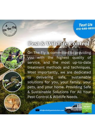 Pest & Wildlife Control Hanover, PA | PDF
