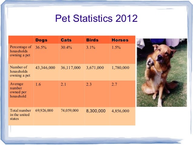 Pet therapy ppt