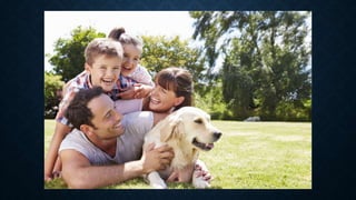 PET - speaking practice, vocabulary and grammar | PPTX