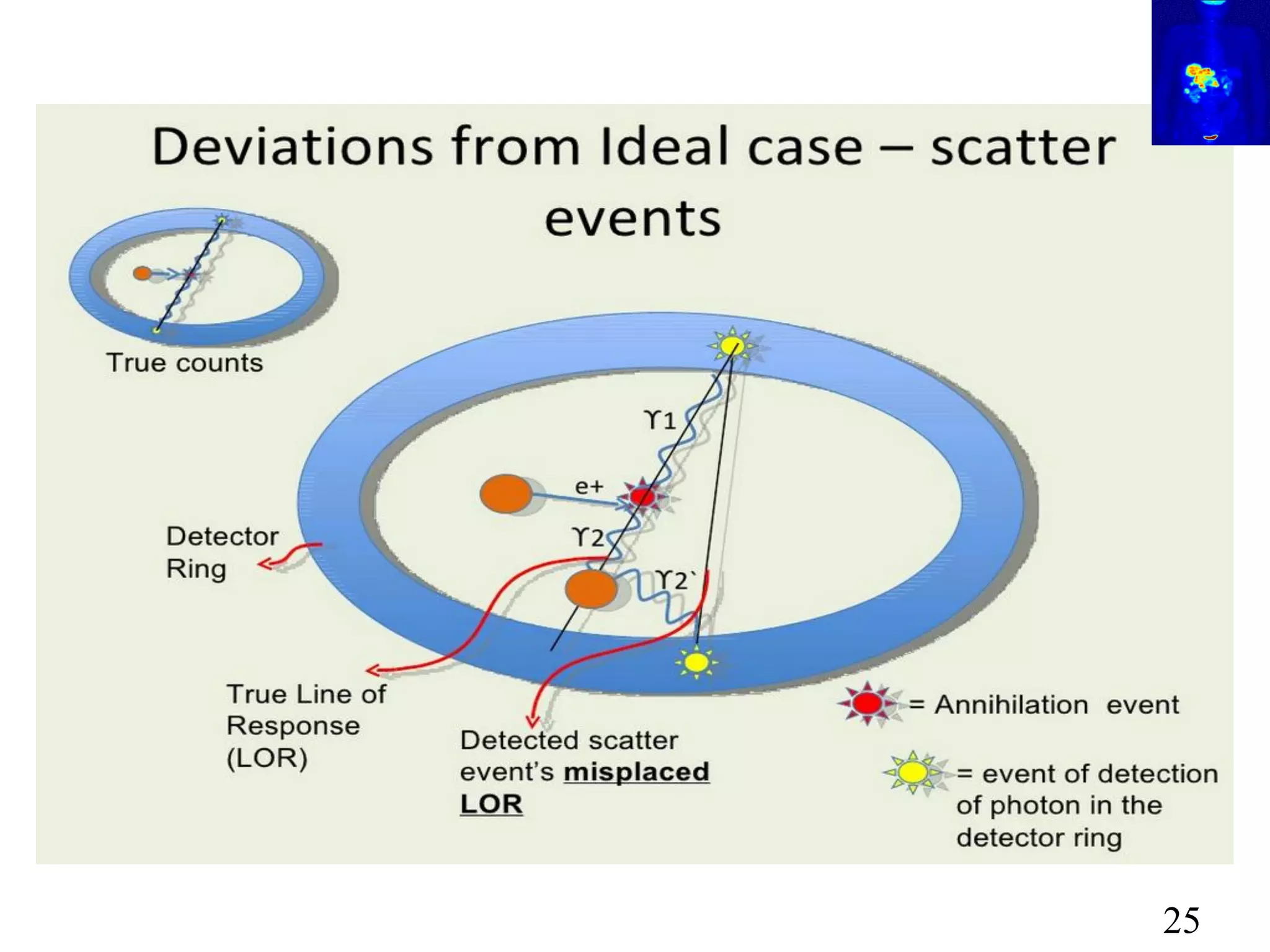 PET-CT Scan(Principles and Basics) | PDF