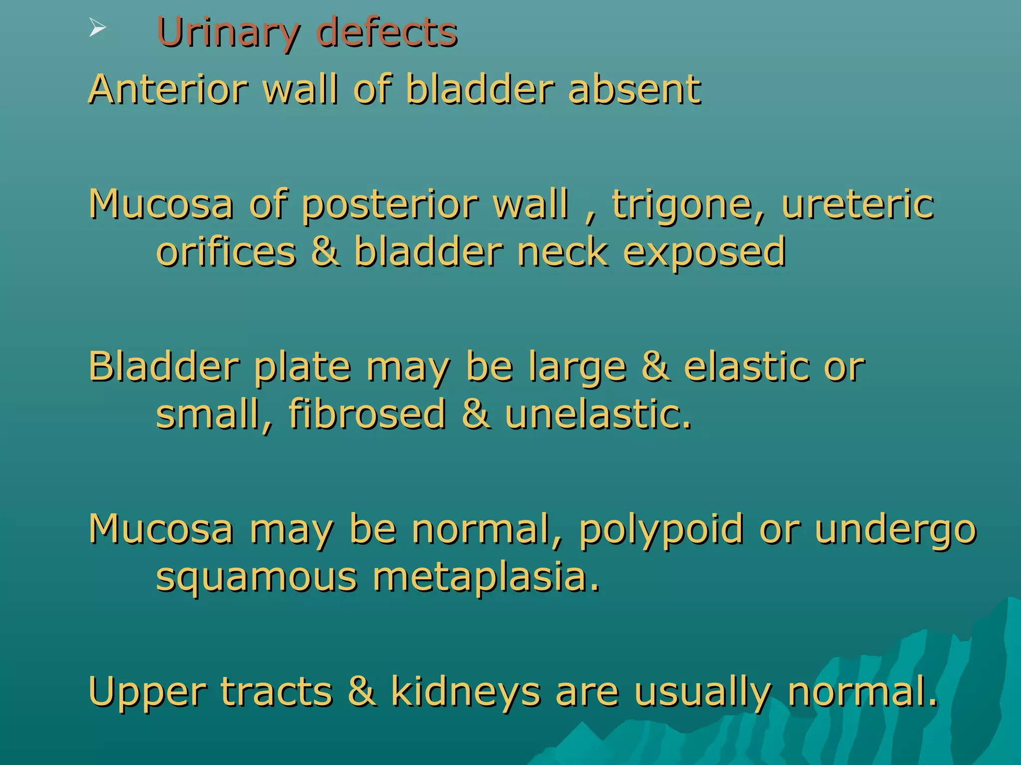 Abdominal wall defects | PPT