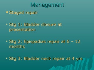 Abdominal wall defects | PPT