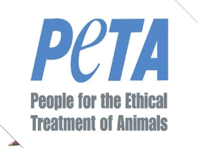 Peta | PPTX | Marketing and Advertising | Business
