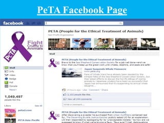 Peta | PPTX | Marketing and Advertising | Business