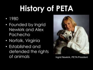 PETA | PPTX
