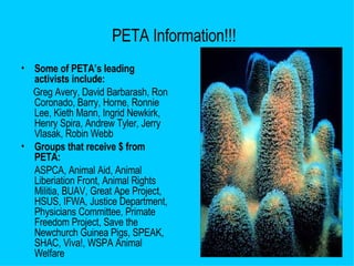 PETA | PPT