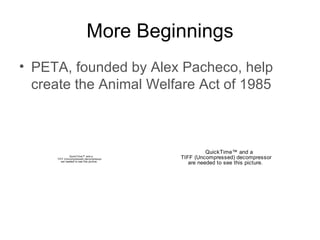 PETA | PPT