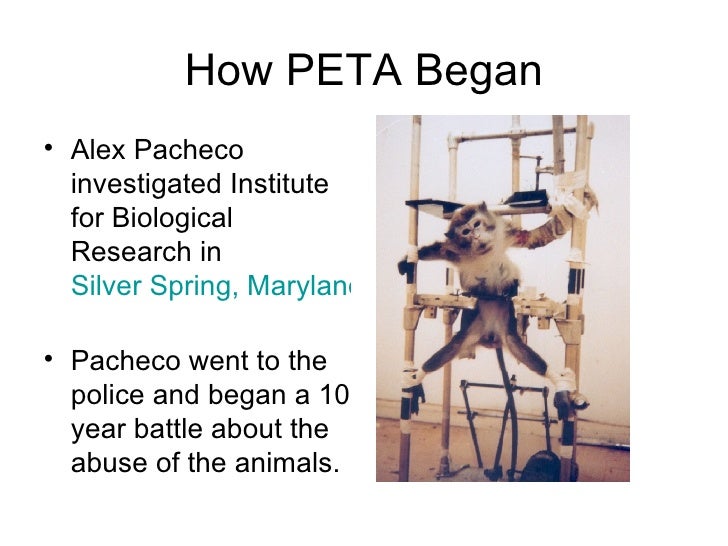 Peta