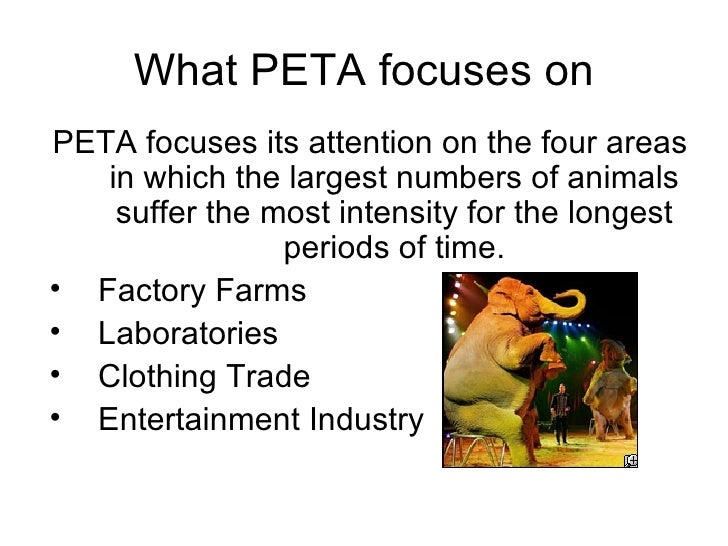 Peta