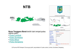 Peta Gunung Api Dan Potensi Geothermal Bali Ntb Ntt (ARMSTRONG.UNIMA) | PDF