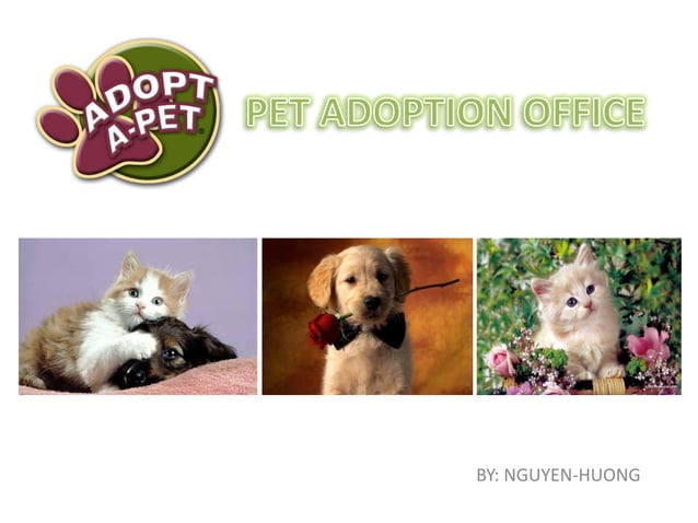 Pet adoption store 2 | PDF | Developmental Sites | Real Estate