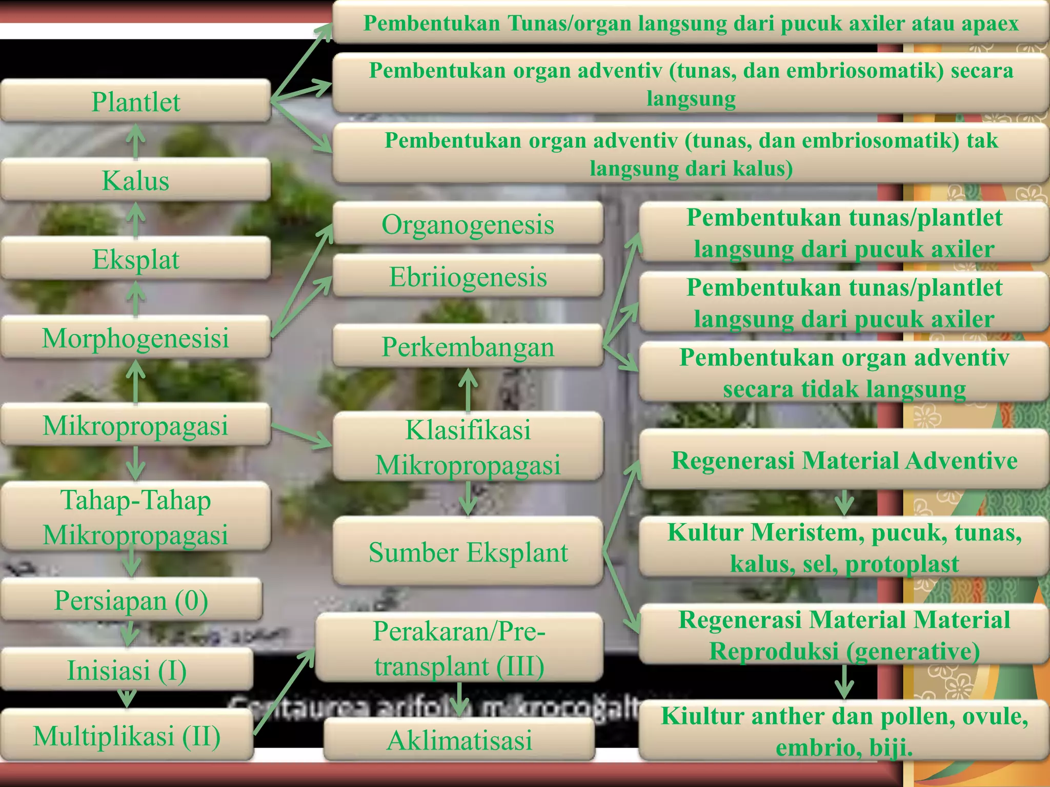 Peta konsep kul jar | PPTX