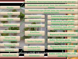 Peta konsep kul jar | PPTX