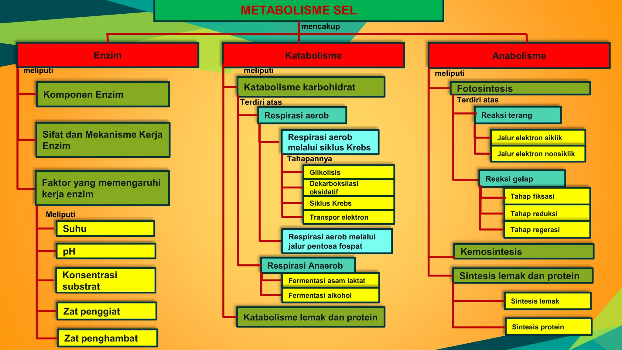 Peta Konsep Metabolisme Sel biologi kelas xii.pptx